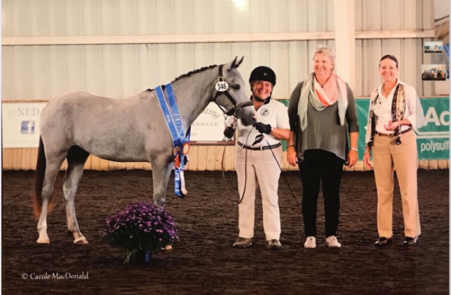 Instructors - Goose Pond Equestrian
